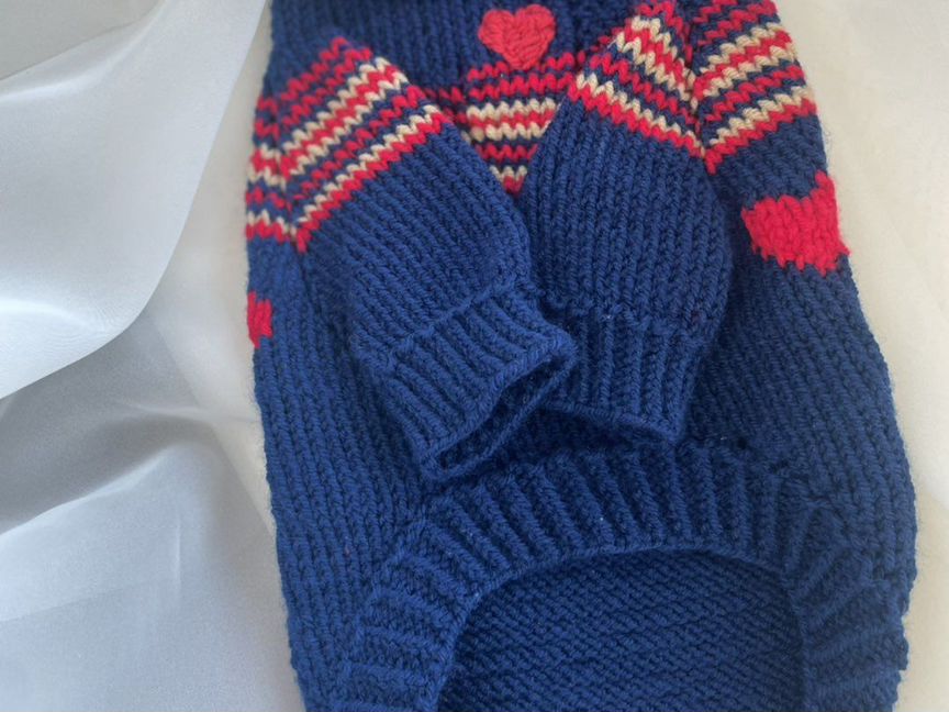 Одежда для собак