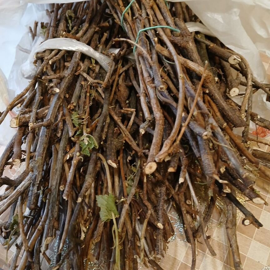 Для грызунов