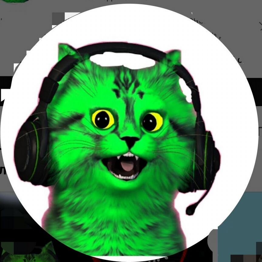 Котан саня плей