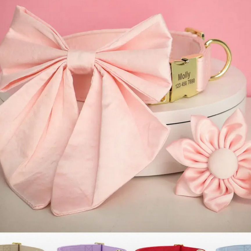 Ошейник для кошек и собак с гравировкой