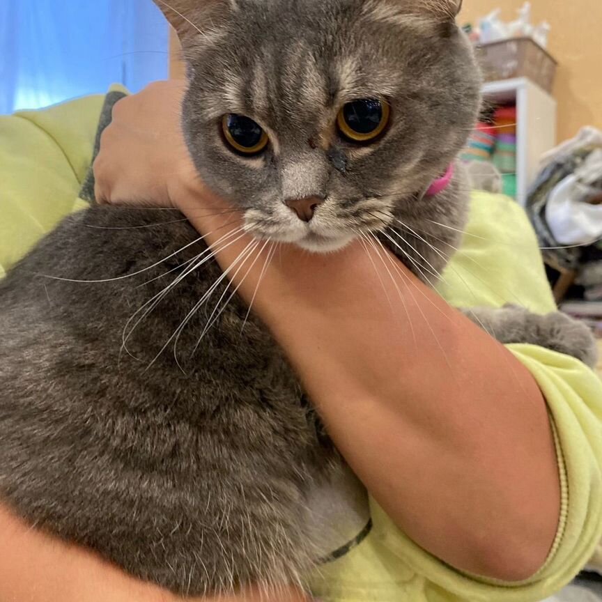 Ева около 2-3 лет очень хочет домой