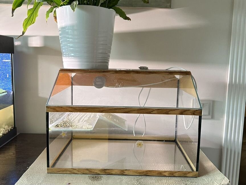 Террариум с мостиком и лампой