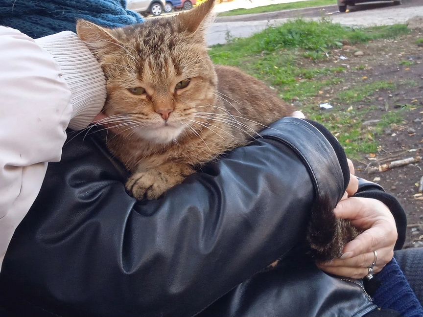 Дуся ищет дом