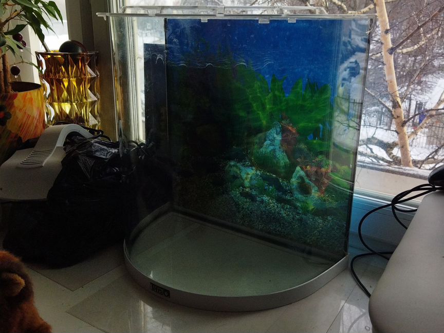 Продаю аквариум 30литров