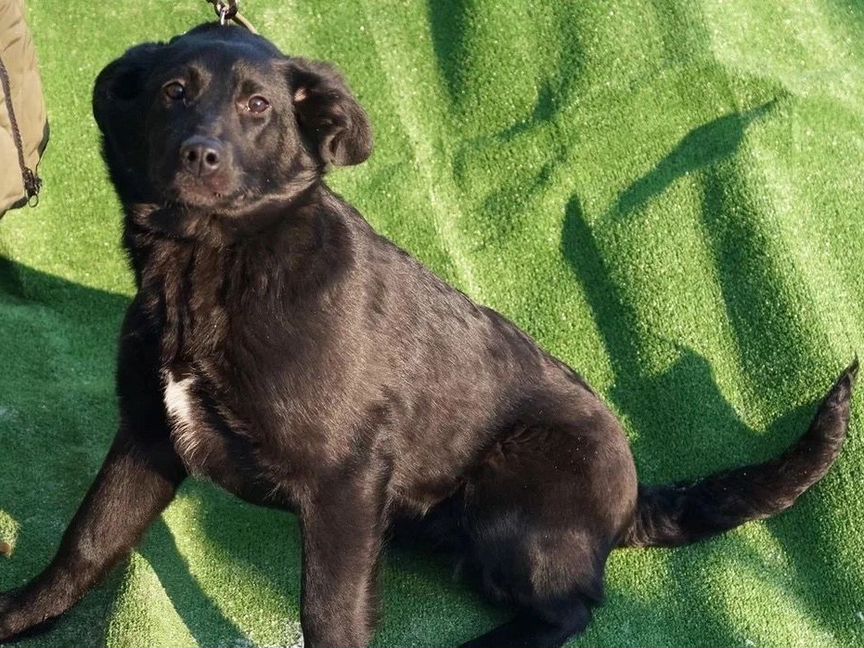 Ночка ждёт свою семью