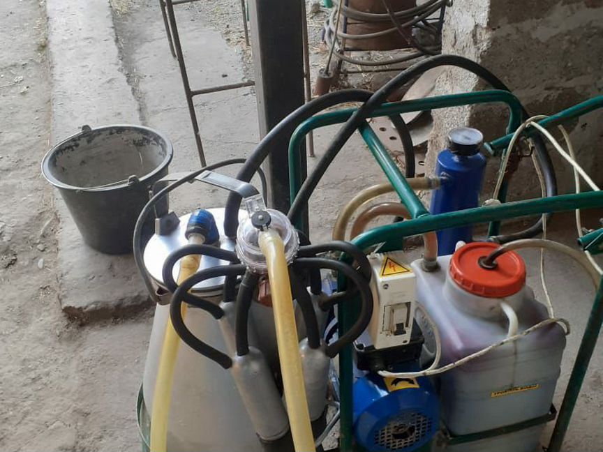 Доильный аппарат для коров