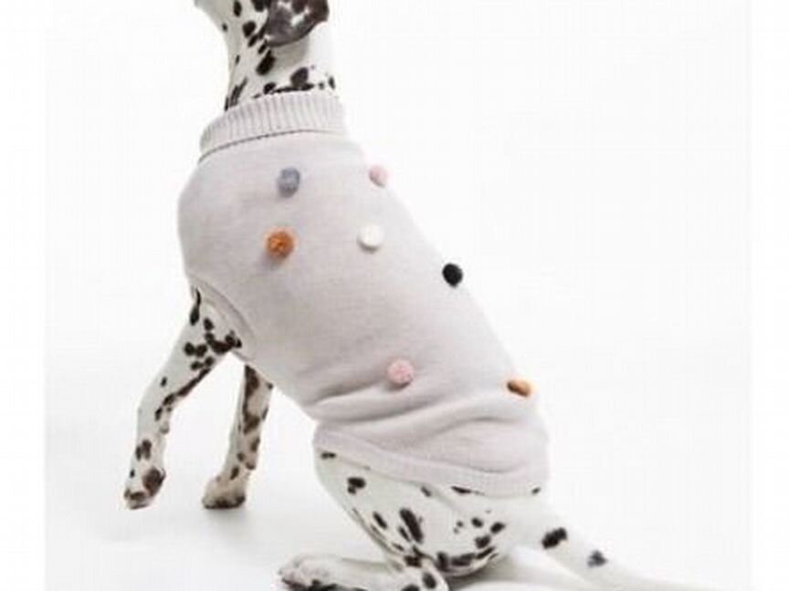 Свитер для собаки hm новый