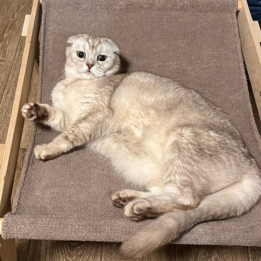 Гамак для кошек