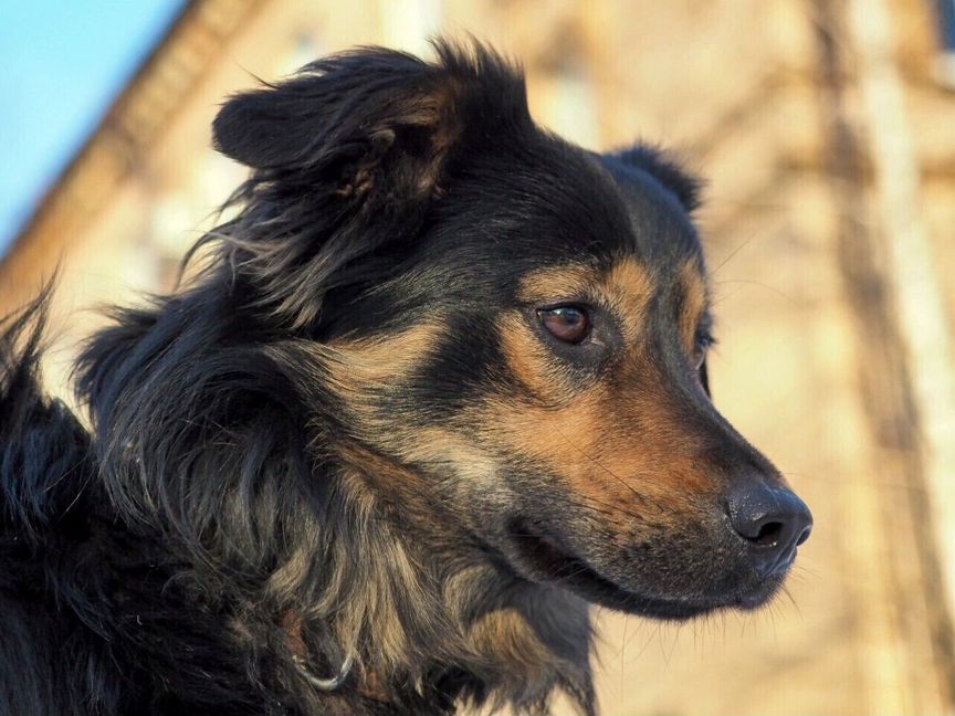 Небольшой добрый мальчишка в дар