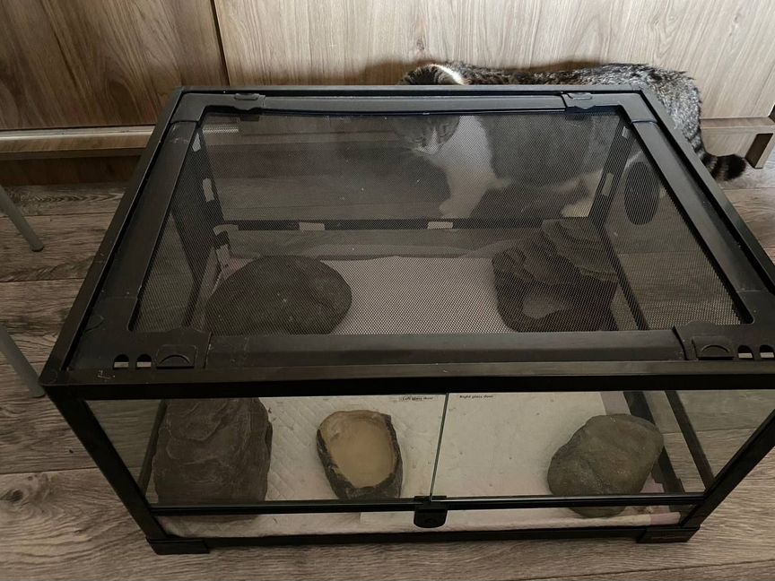 Террариум для рептилий ReptiZoo