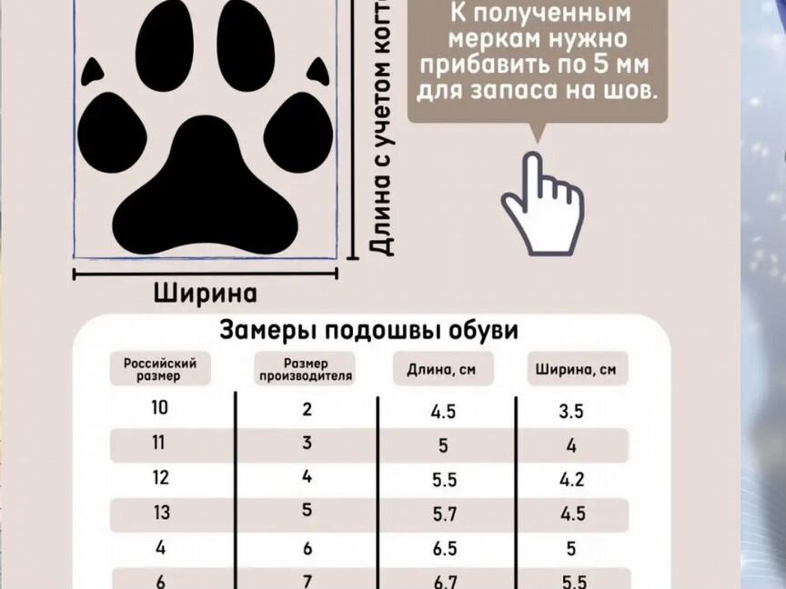 Обувь для собак