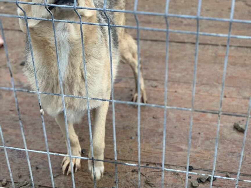 Люся плачет хочет домой