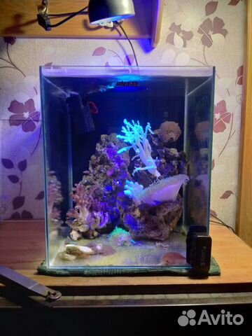 Морской аквариум