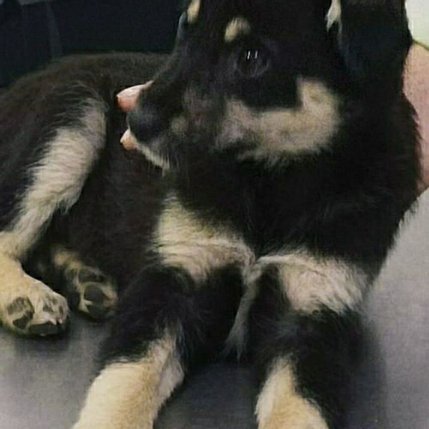 Рита, влюблённая в жизнь