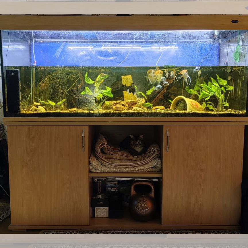 Аквариум с тумбой 400 литров