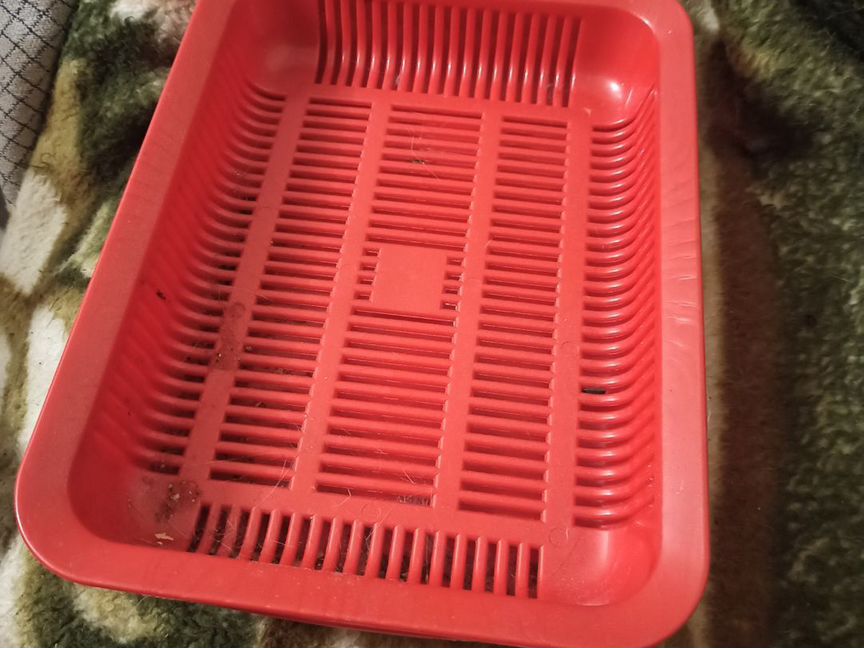 Лоток для котят