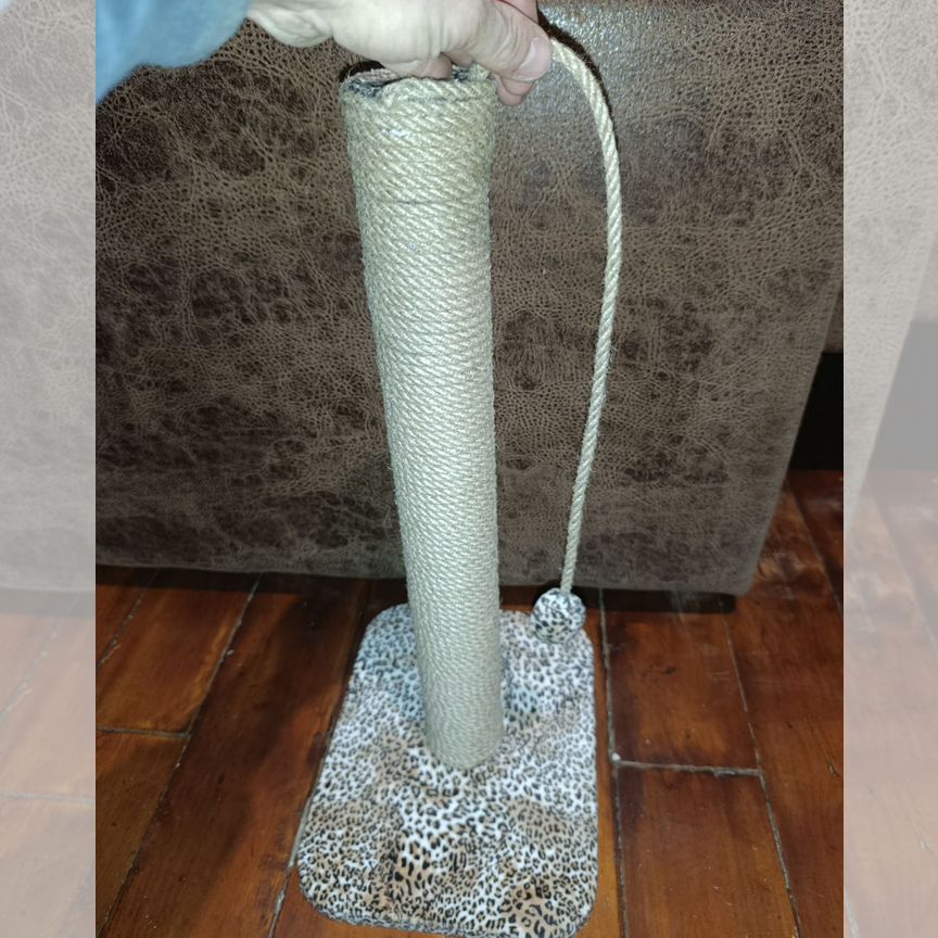 Когтеточка