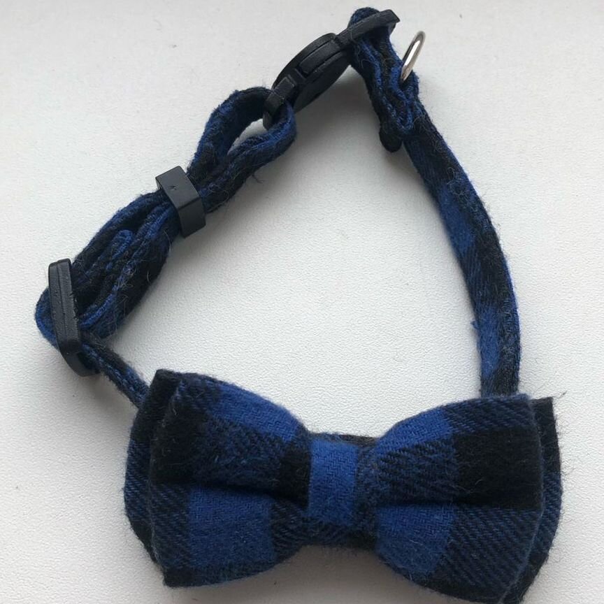 Галстук бабочка для кота