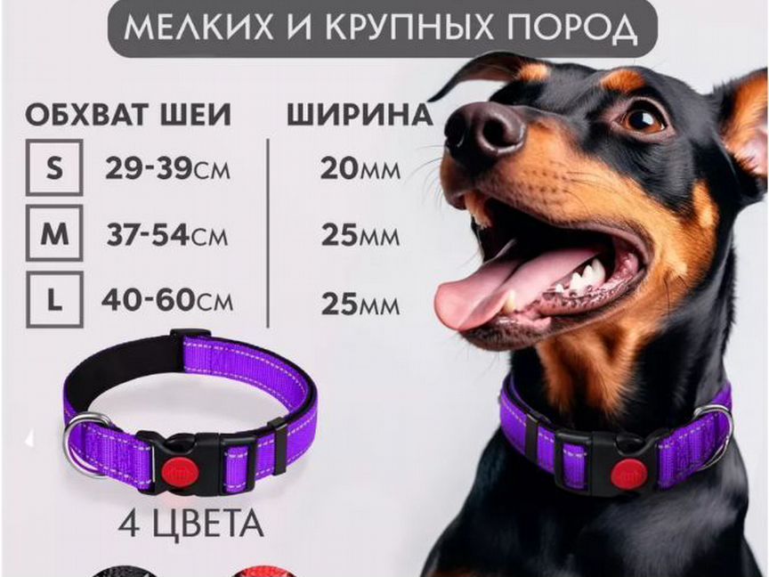 Ошейник для собак