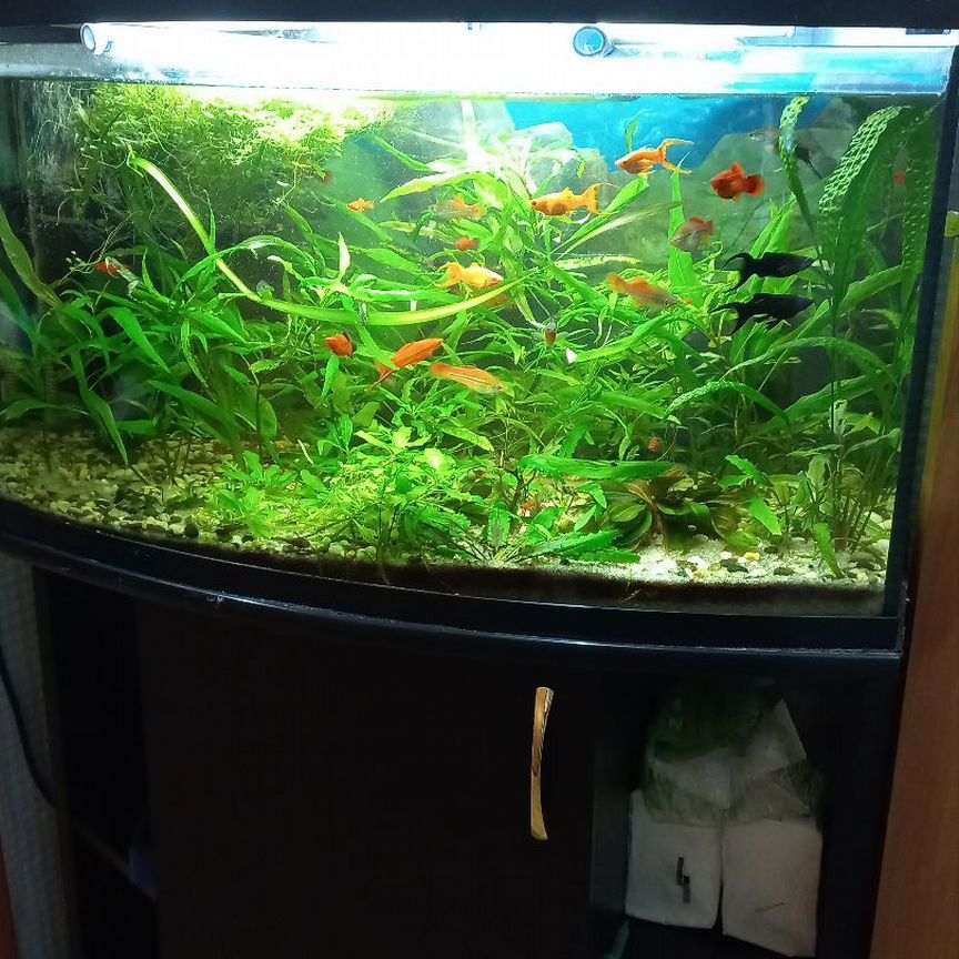 Украшение для аквариума