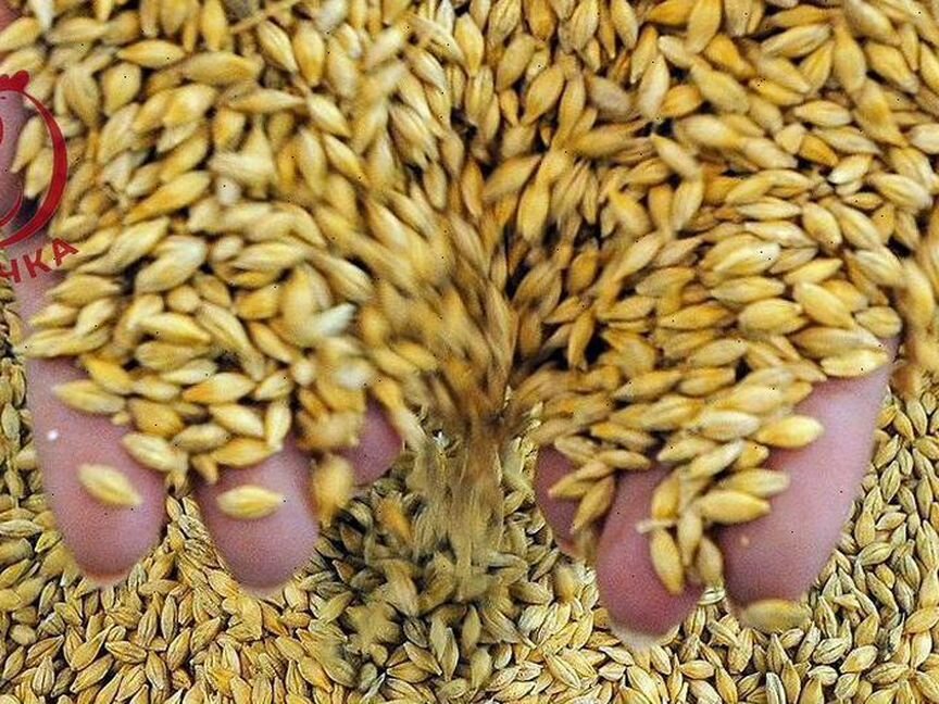 Овес в мешках