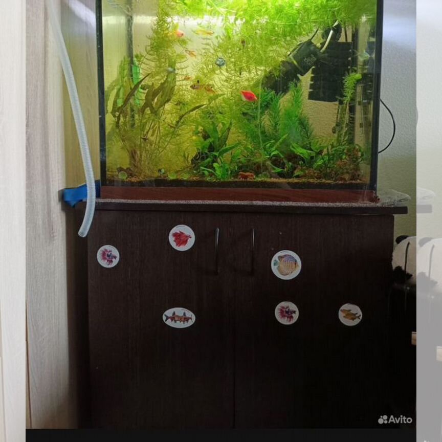 Аквариум с тумбой
