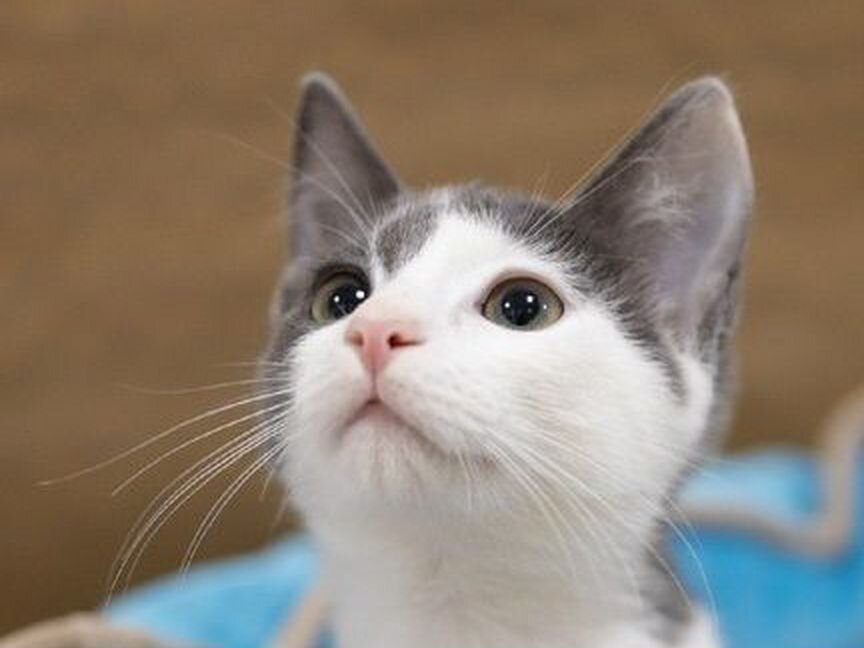 Умнейший мальчик 3 мес ласковее не ищите