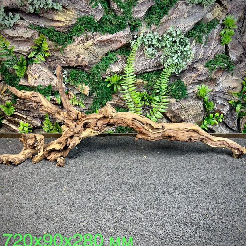 Коралловое дерево/Coral Wood кд694