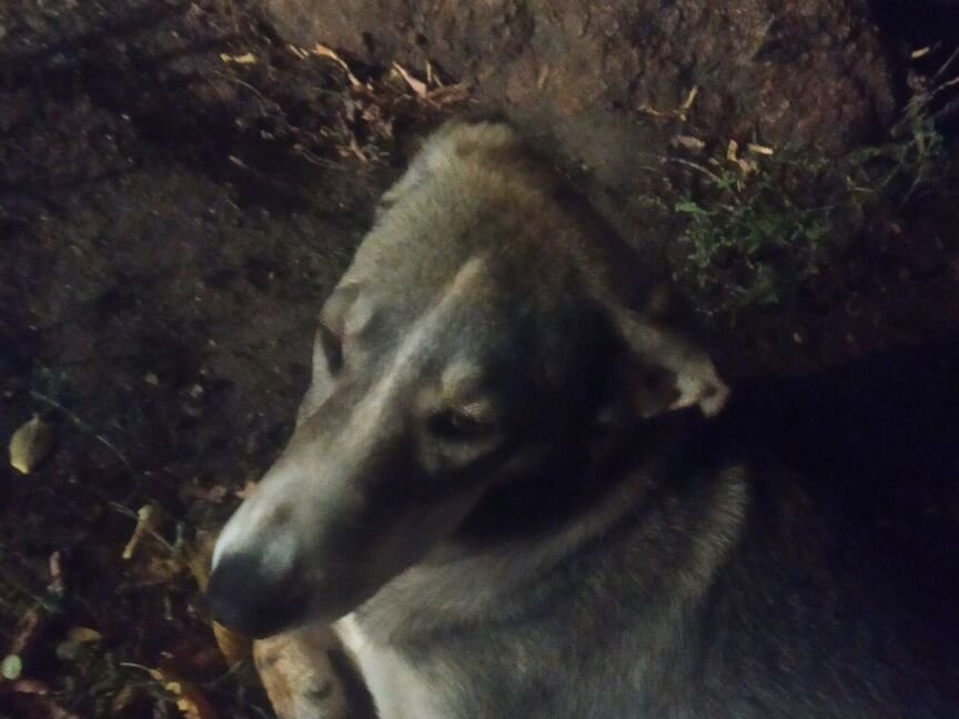 С Р О Ч Н О девочка на вид около 4 месяцнв