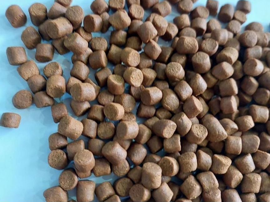 Корм для рыб форель осетр карп