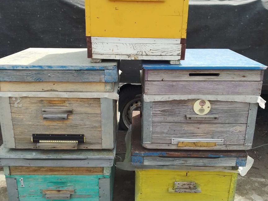 Продам ульи для пчел