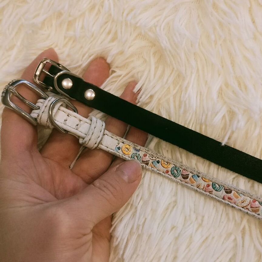 Ошейники для маленьких собак