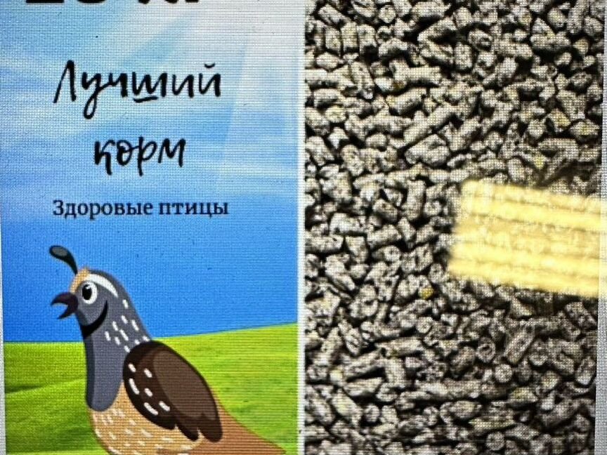 Комбикорм для перепелов