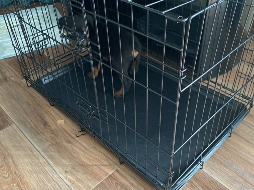 Клетка для собак