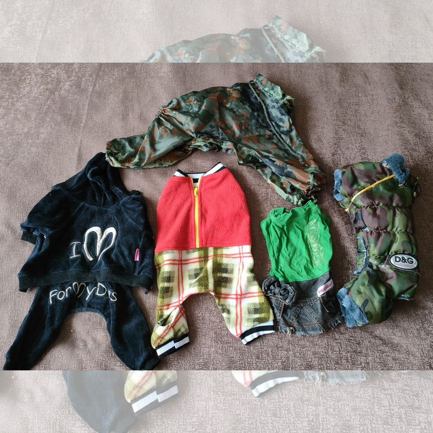 Одежда на маленькую собачку