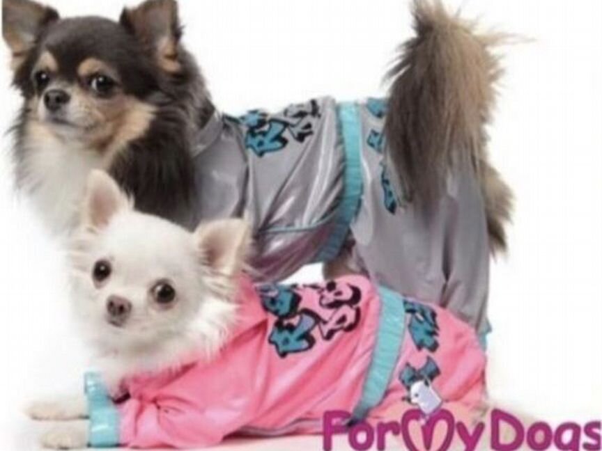 Дождевик (10р.) ForMyDogs