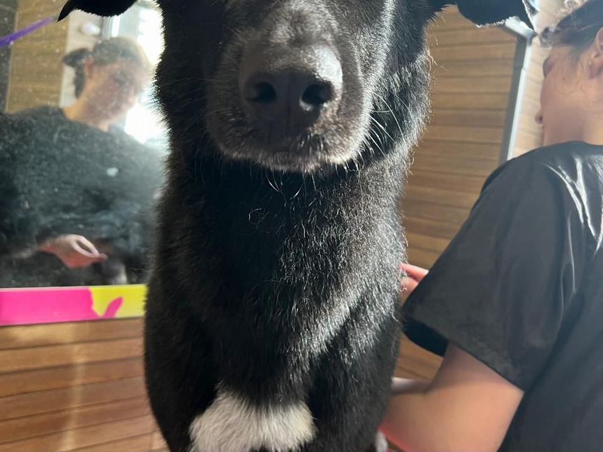 Его предали дважды. За что