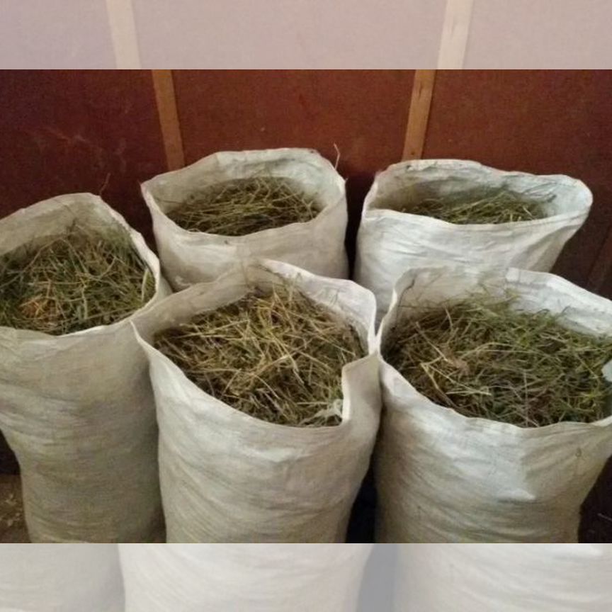 Сено в мешках