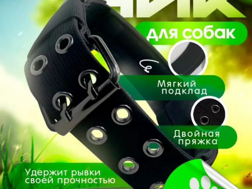 Ошейник для собак