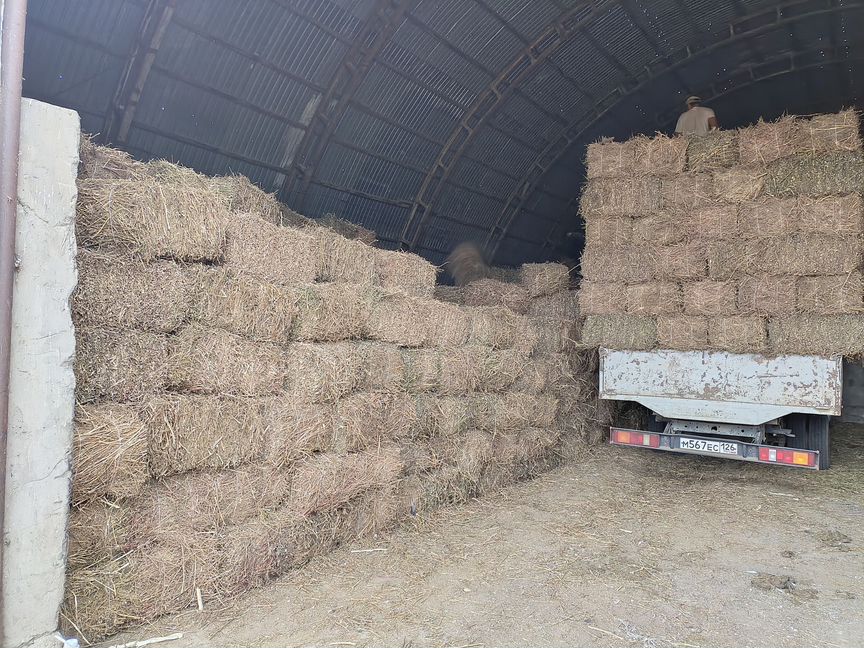 Разнотравья сено тюках