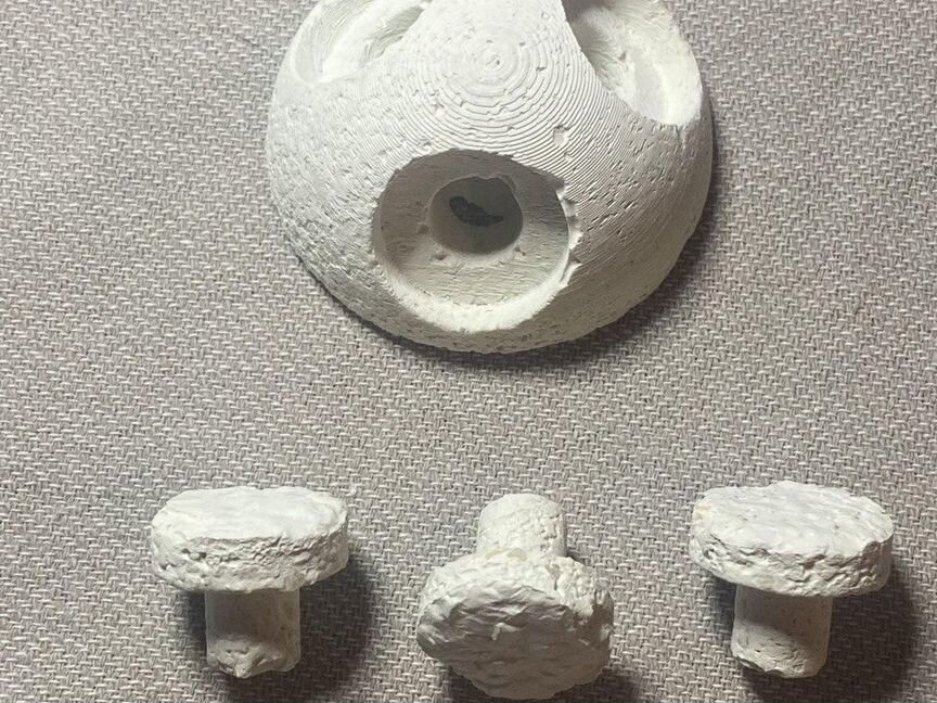 Плашки (плаги) для кораллов