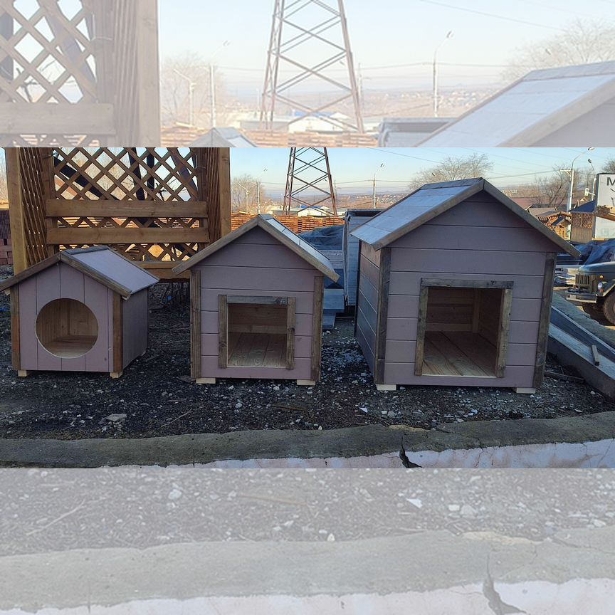 Собачья будка