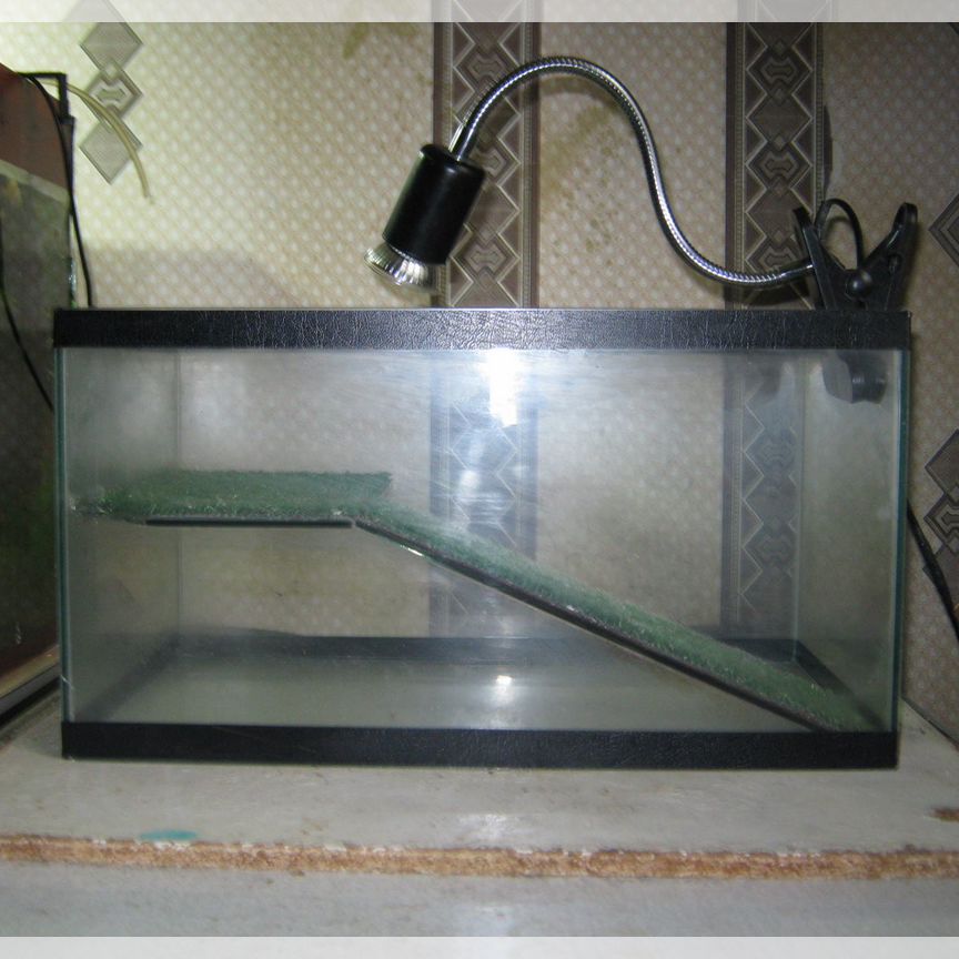 Террариум для водной черепахи 20 литров