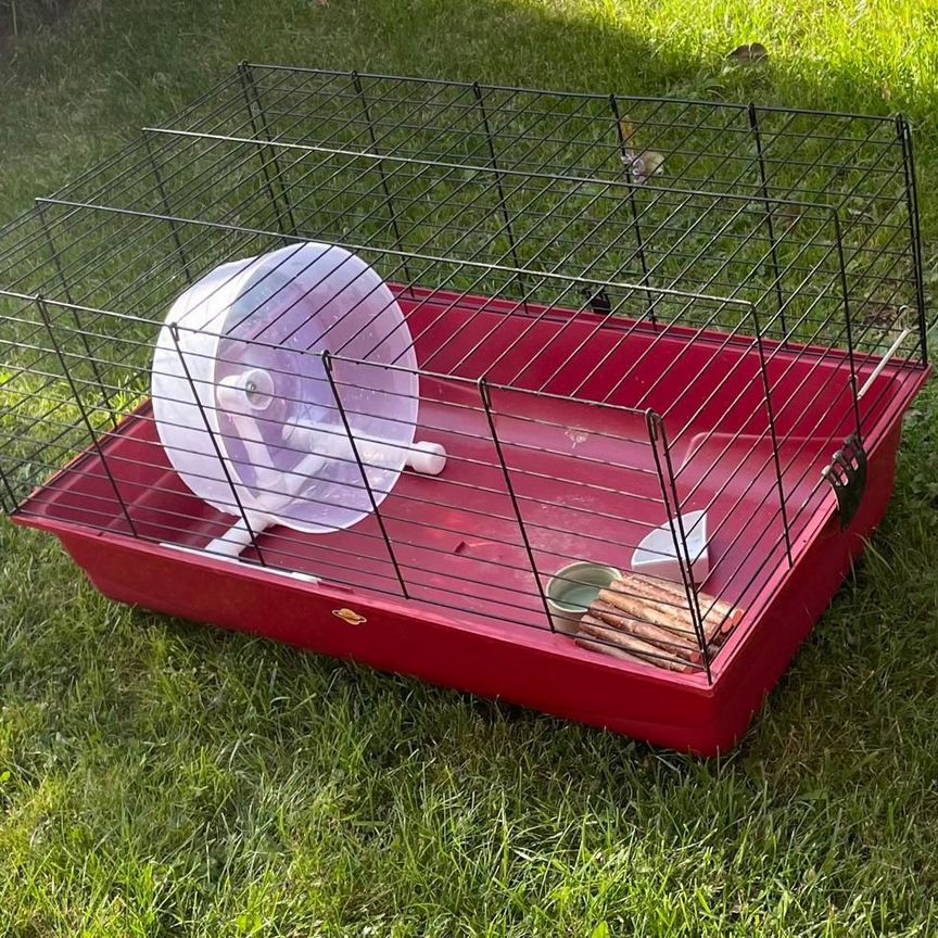 Клетка для морской свинки