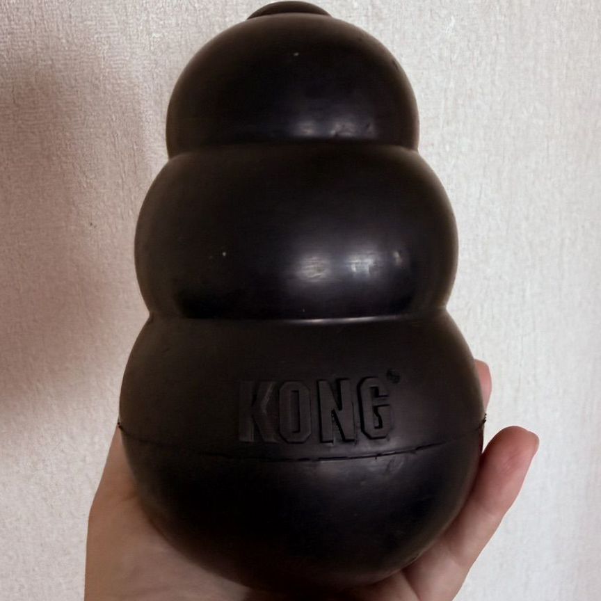 Kong extreme xxl