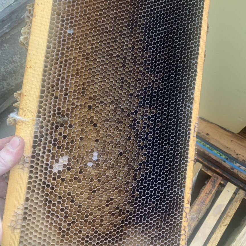 Продам сушь