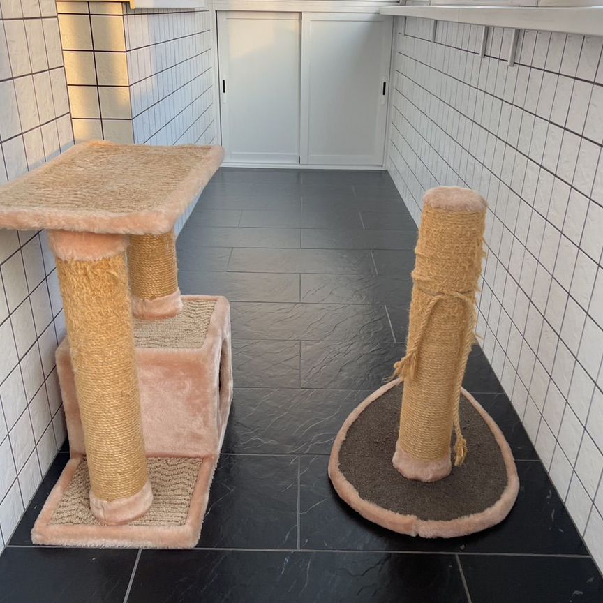 Когтеточка с домиком