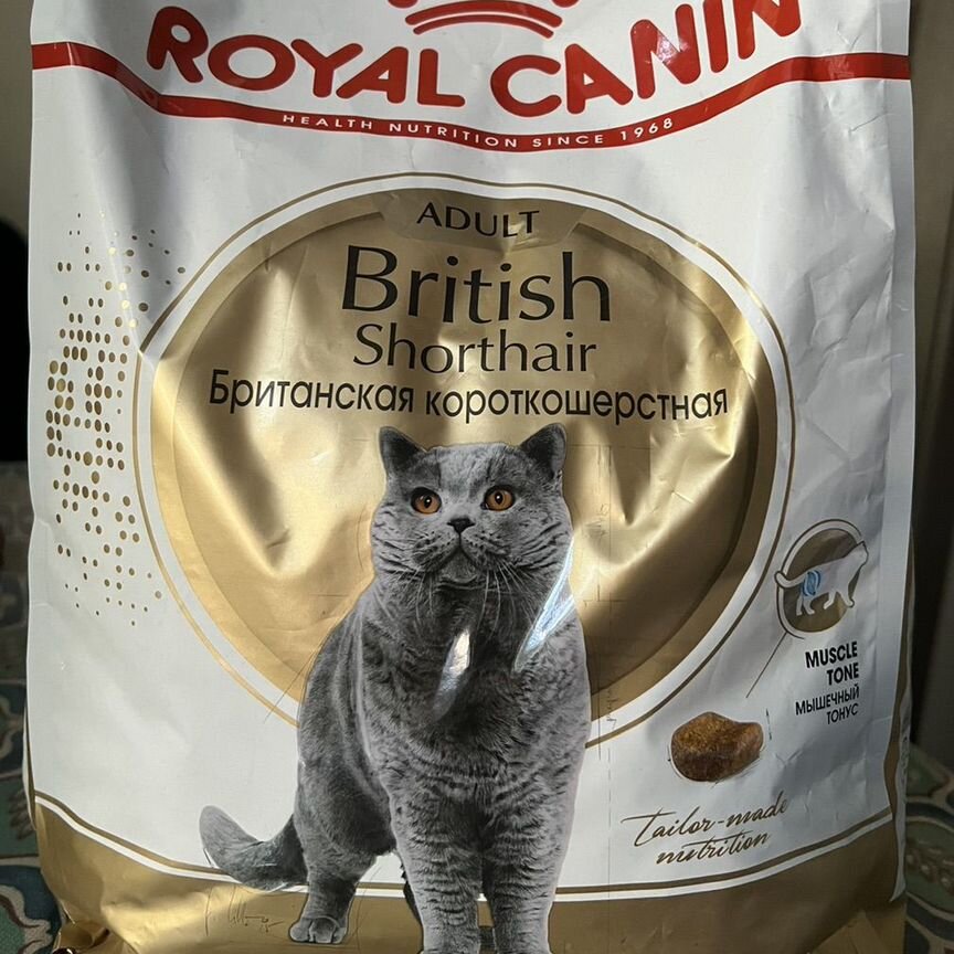 Сухой корм для кошек royal canin british shorthair