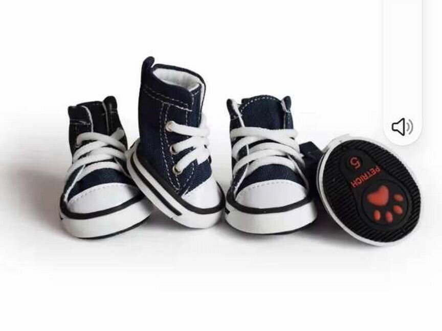 Кеды и намордник для собак мелких пород