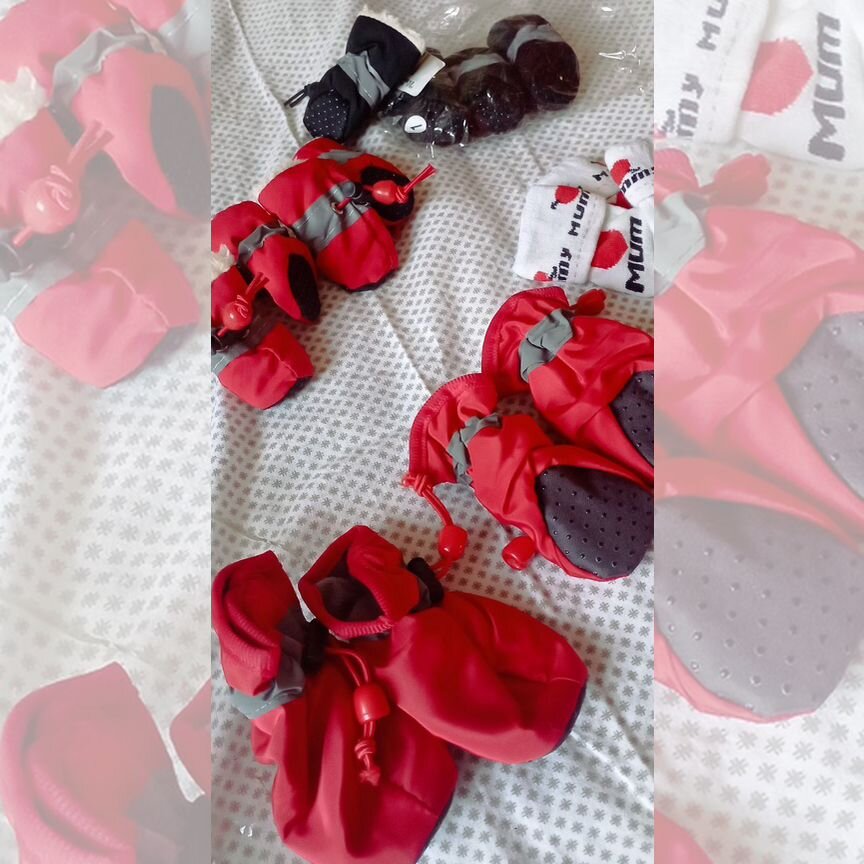 Обувь для мелких собак (1-2)